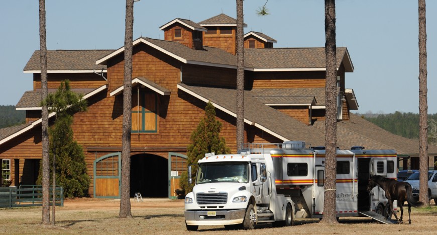 Stable View - A top-notch equestrian training facility